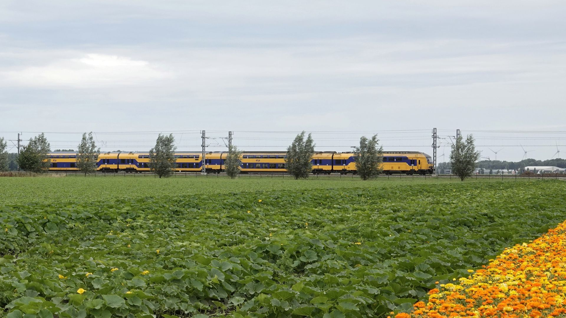 Tweede Kamerleden blijven hameren op belang van Lelylijn | VSO Lelylijn